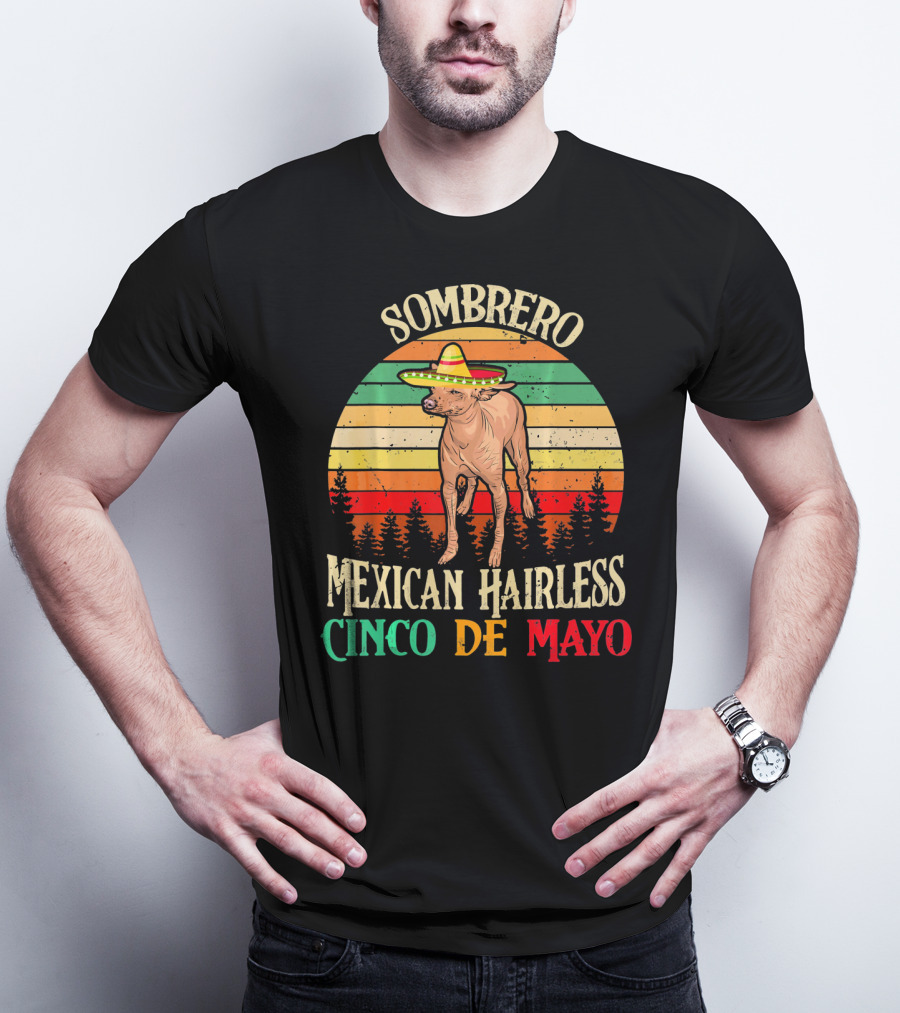 Sombrero Mexican Hairless Cinco De Mayo Vintage Sunset T-Shirt