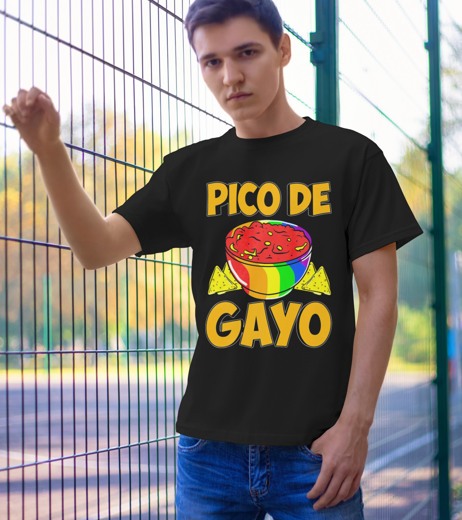 Pico De Gayo Cinco De Mayo Rainbow Salsa Bowl And Tortilla Chips T-Shirt
