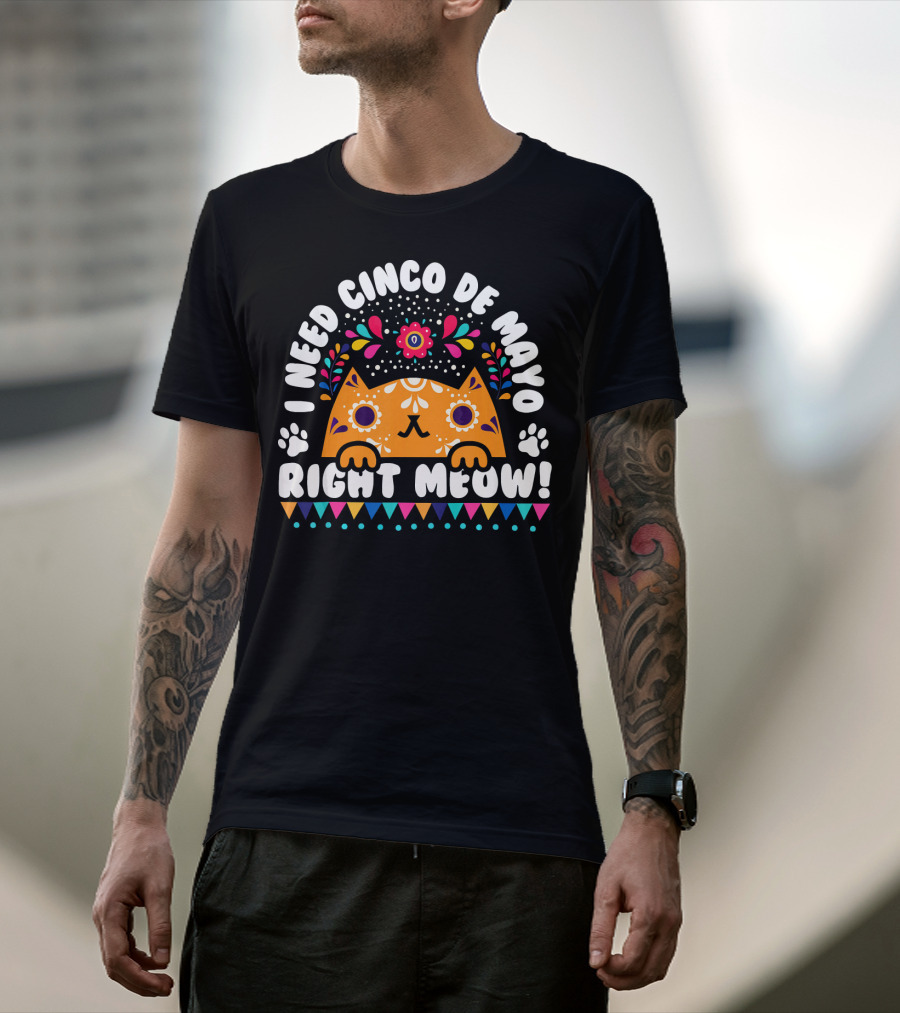 I Need Cinco De Mayo Right Meow Orange Cat Mexican Fiesta T-Shirt