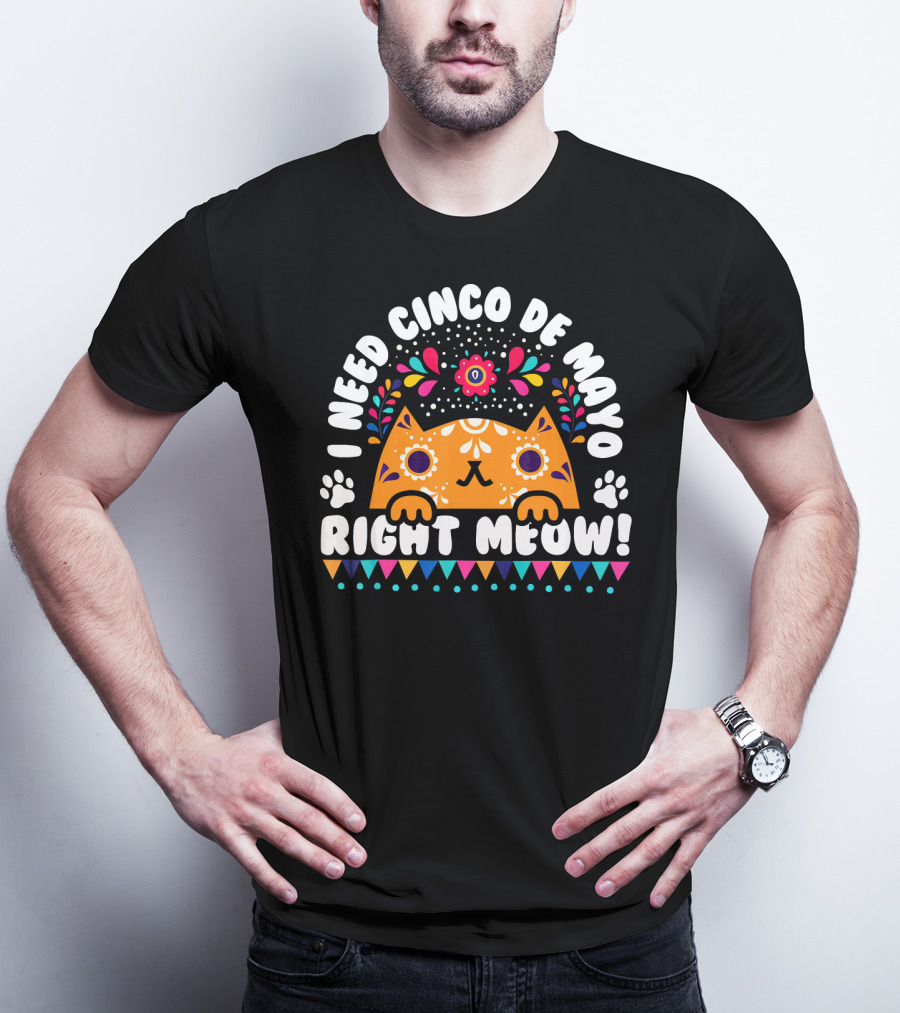 I Need Cinco De Mayo Right Meow Orange Cat Mexican Fiesta T-Shirt