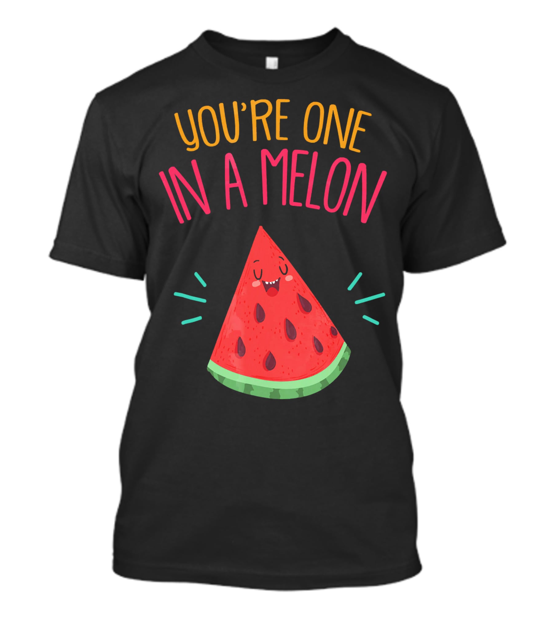 You're One In A Melon Watermelon Pun Funny Melon Food T-Shirt