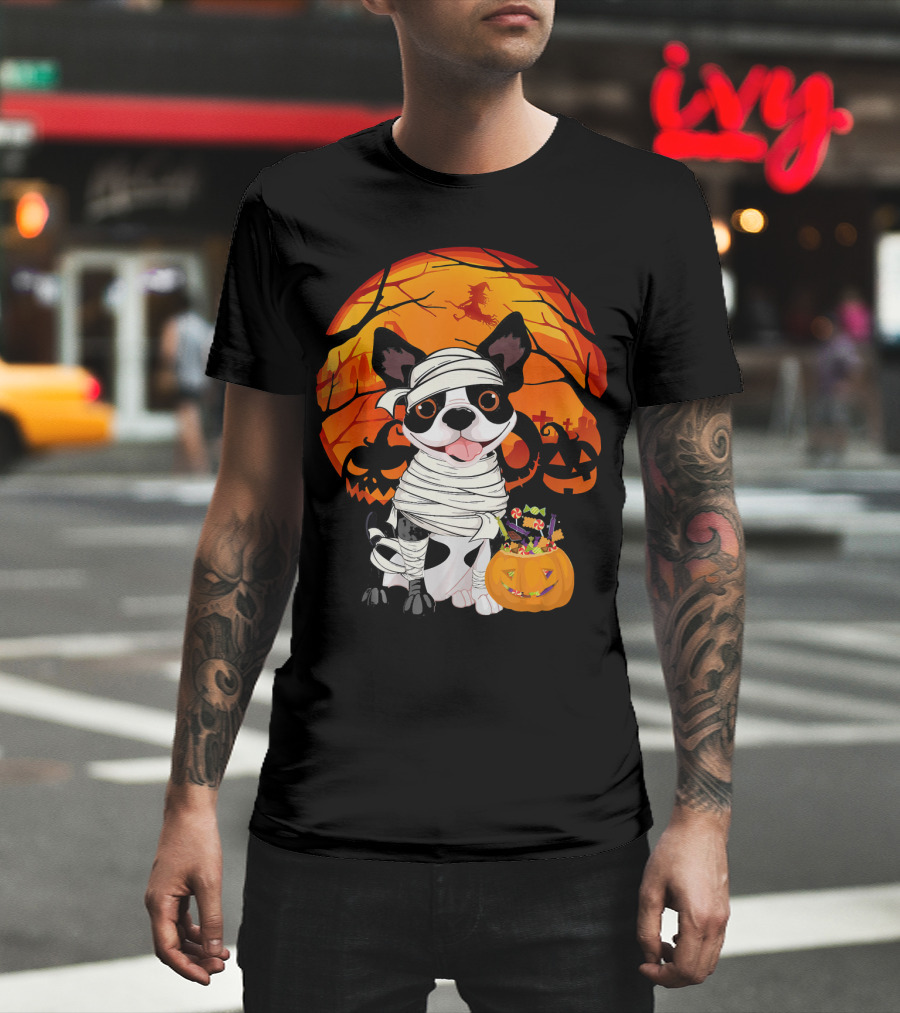 Halloween Kids Boston Terrier Mummy With Pumpkin And Witch T-Shirt