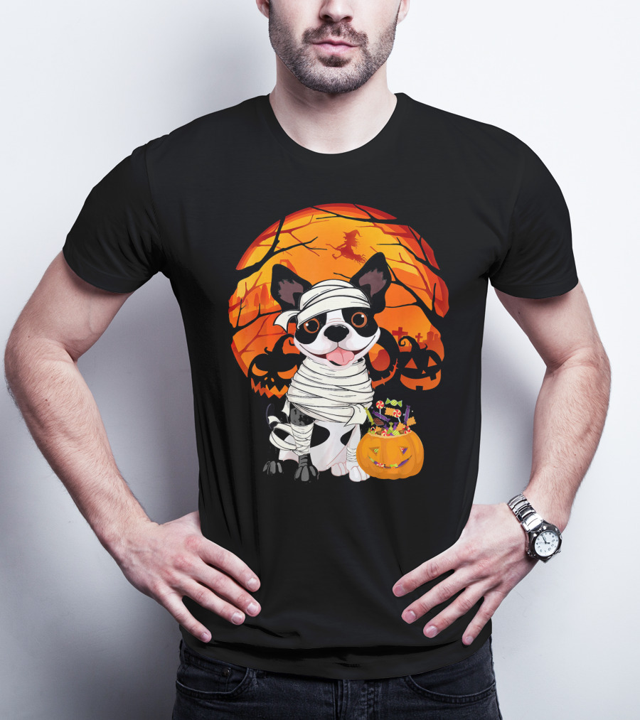 Halloween Kids Boston Terrier Mummy With Pumpkin And Witch T-Shirt