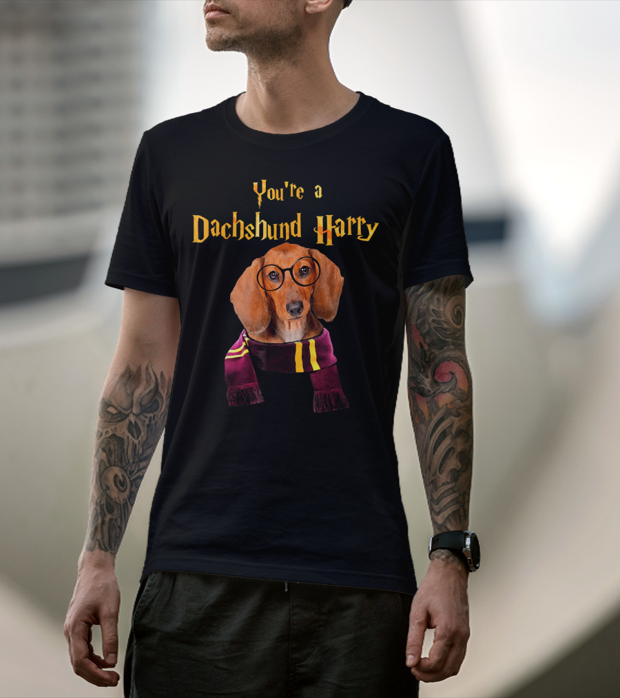 You're A Dachshund Harry T-Shirt