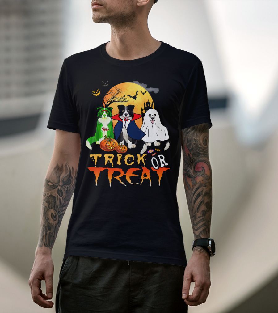 Trick Or Treat Halloween Border Collie Costumes Pumpkins Haunted Moon T-Shirt