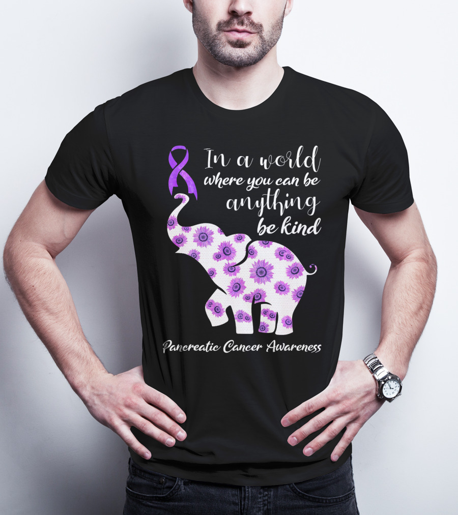 In A World Where You Can Be Anything Be Kind Pancreatic Cancer Awareness T-Shirt