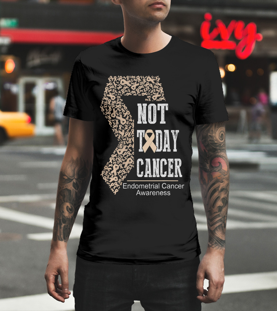 Not Today Cancer Endometrial Cancer Awareness T-Shirt