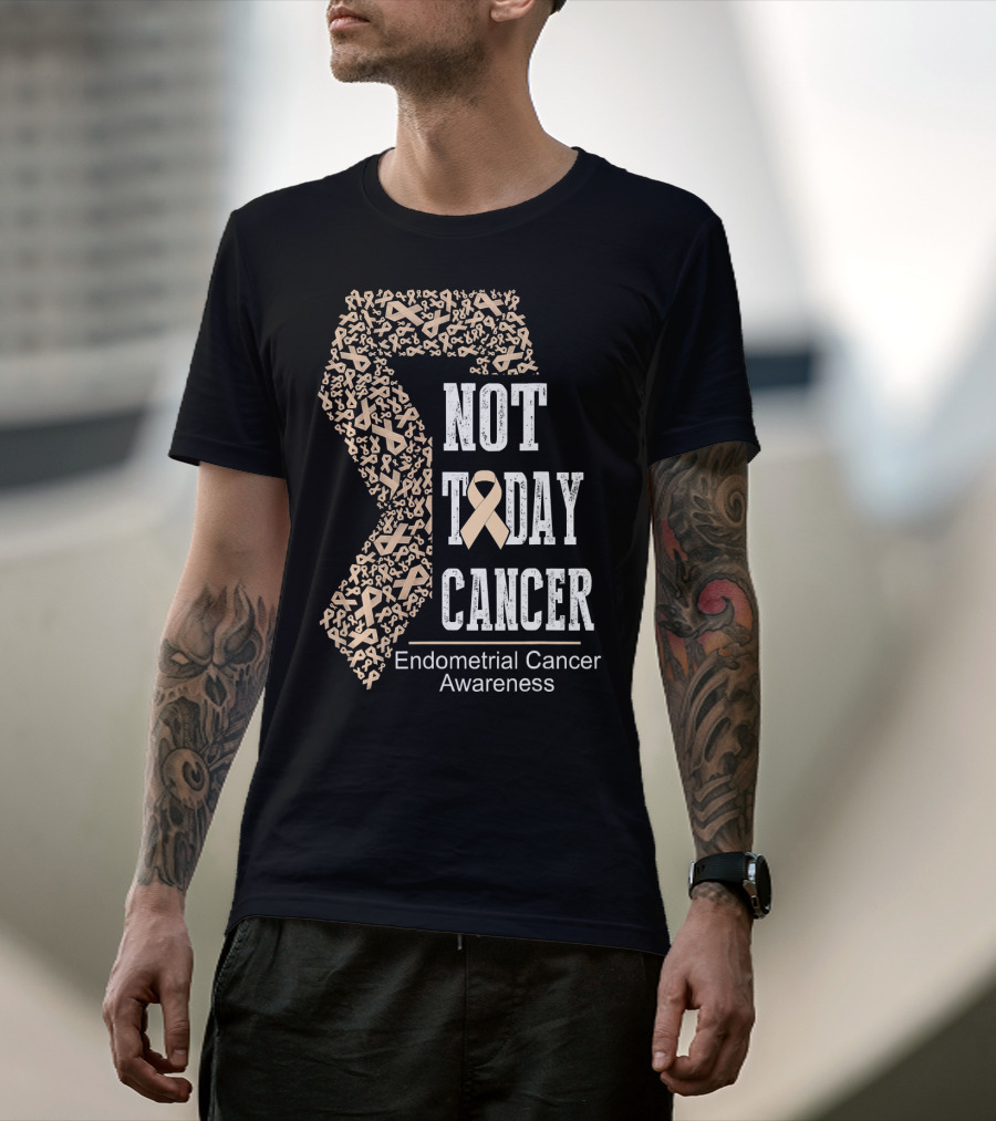Not Today Cancer Endometrial Cancer Awareness T-Shirt