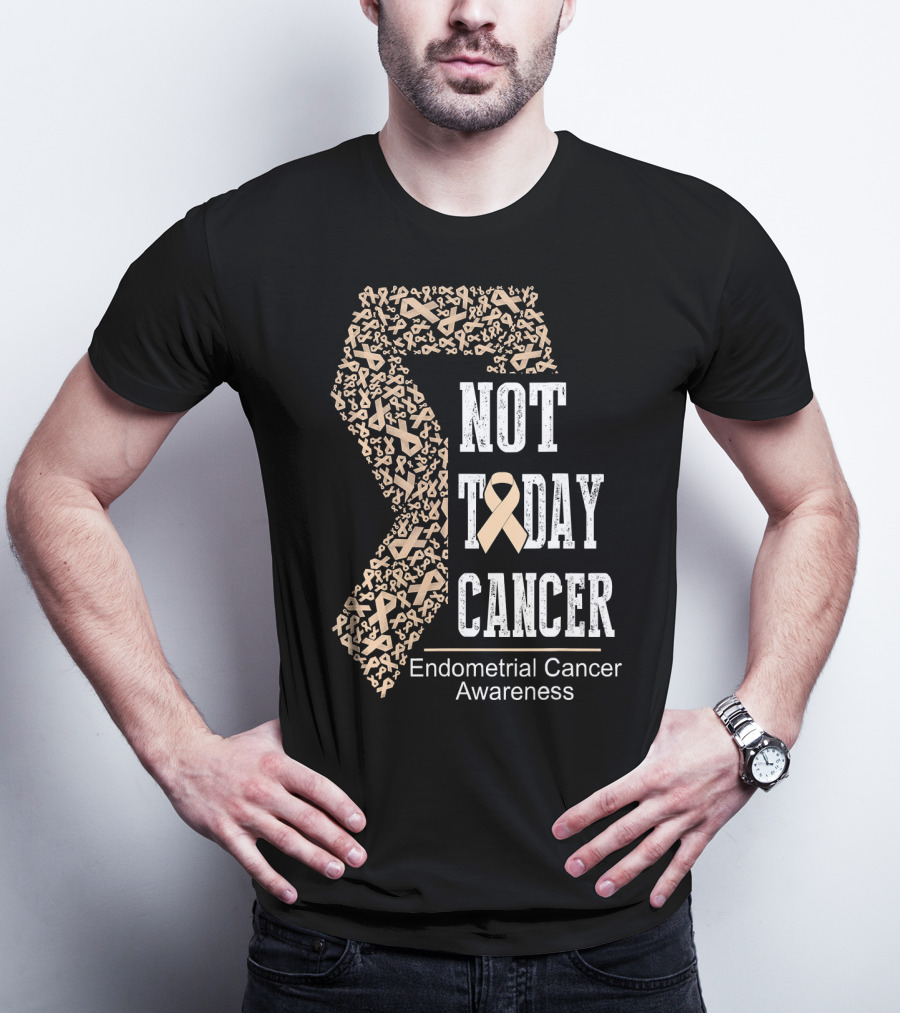 Not Today Cancer Endometrial Cancer Awareness T-Shirt