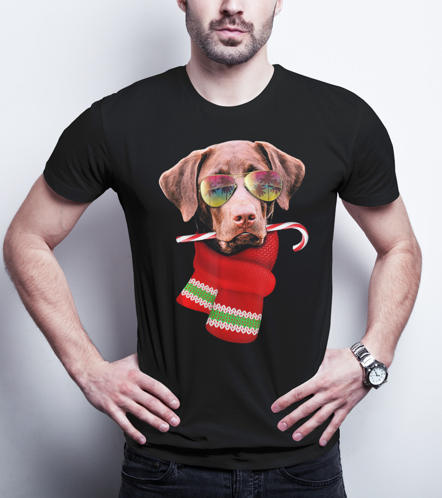 Christmas In July Labrador Sunglasses Candy Cane Scarf T-Shirt