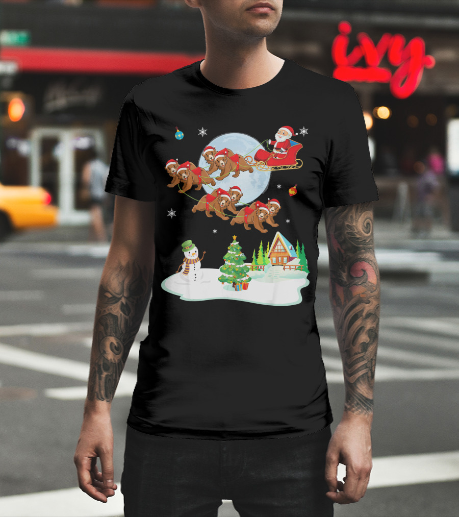 Santa Claus Sleigh With Bears And Snowman By Moonlit Cabin Noel T-Shirt