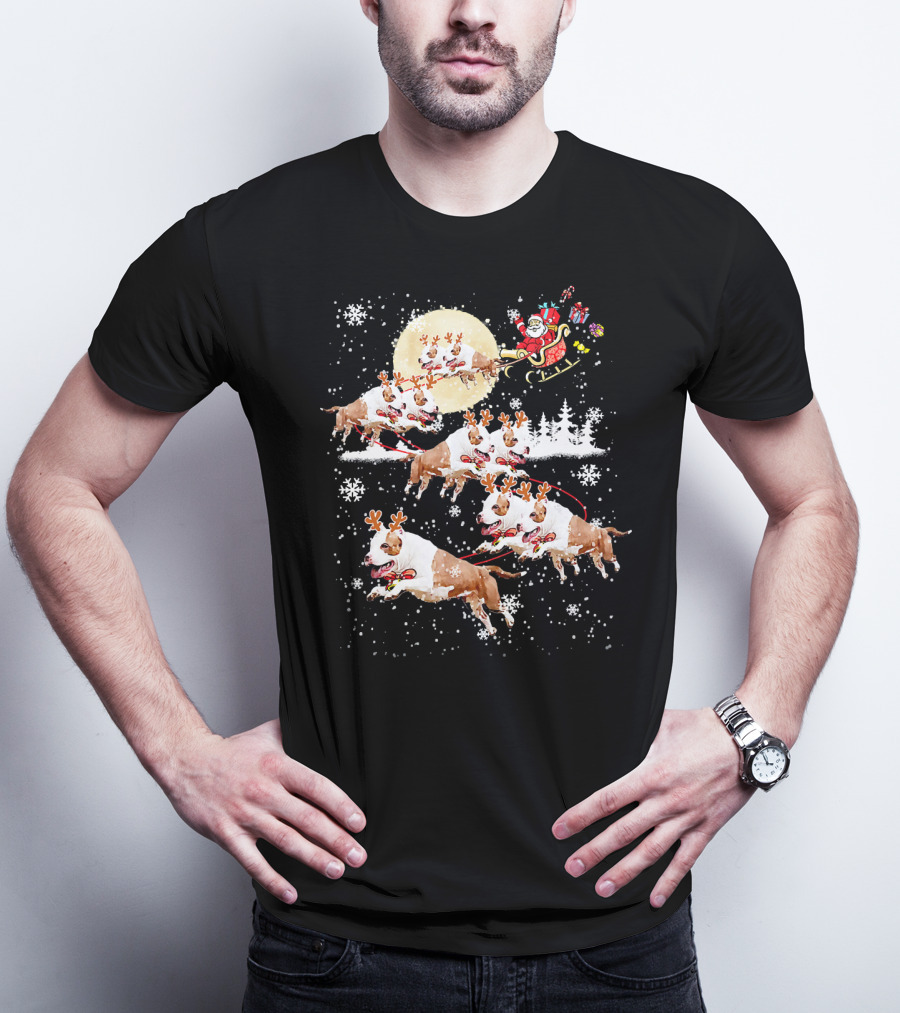 Santa's Christmas Pitbull Reindeer Sleigh Ride T-Shirt