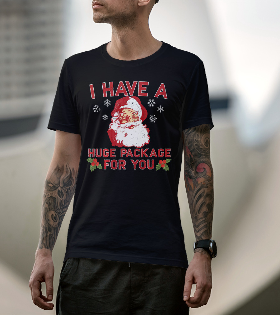 I Have A Huge Package For You Santa Christmas Snowflakes T-Shirt