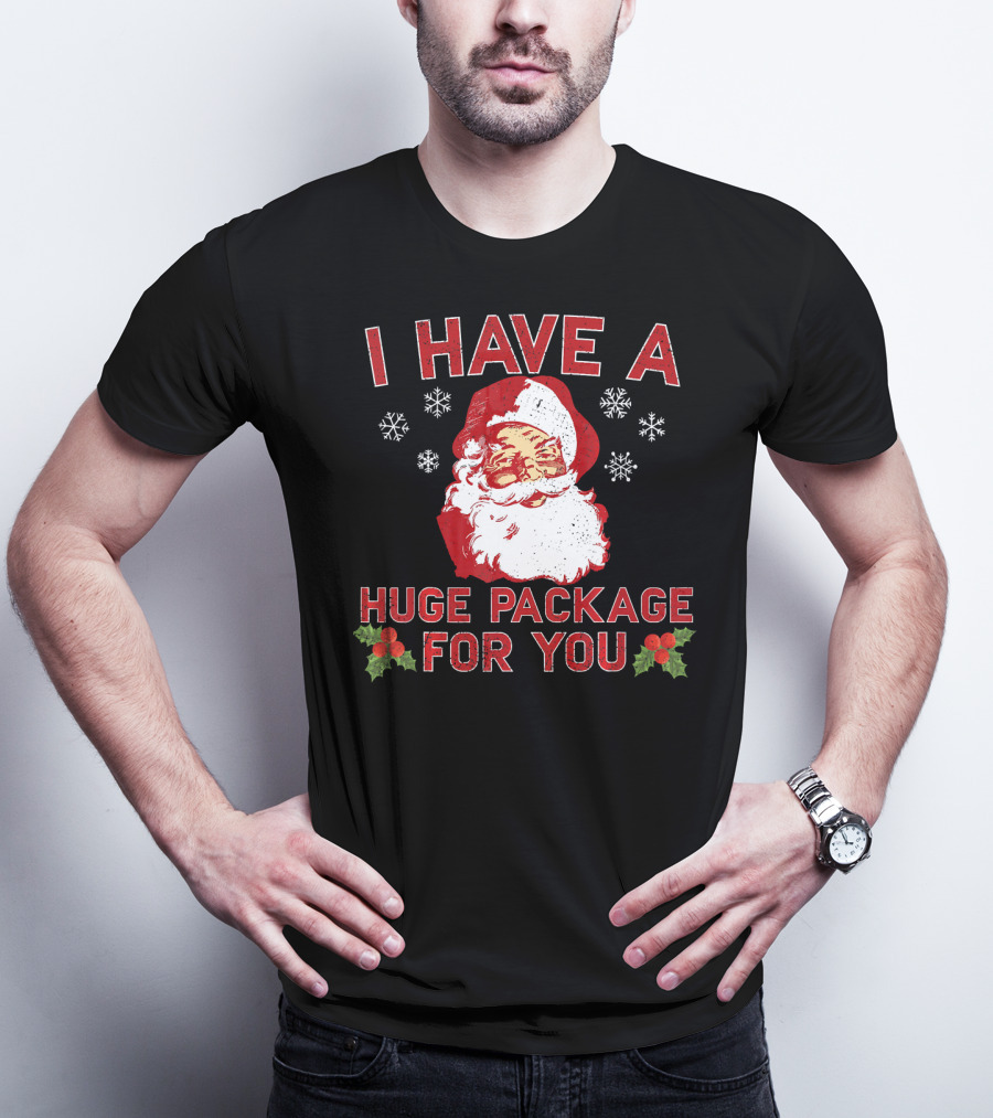 I Have A Huge Package For You Santa Christmas Snowflakes T-Shirt