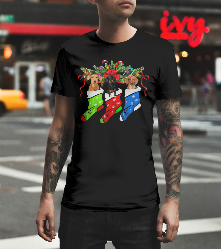 Funny Christmas Three Dachshund In Sock With Red Green Blue Holiday Stockings T-Shirt