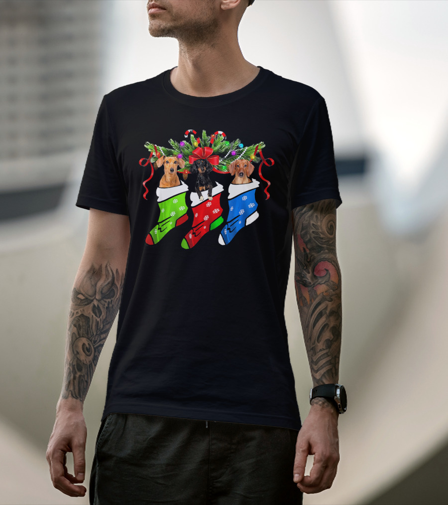 Funny Christmas Three Dachshund In Sock With Red Green Blue Holiday Stockings T-Shirt