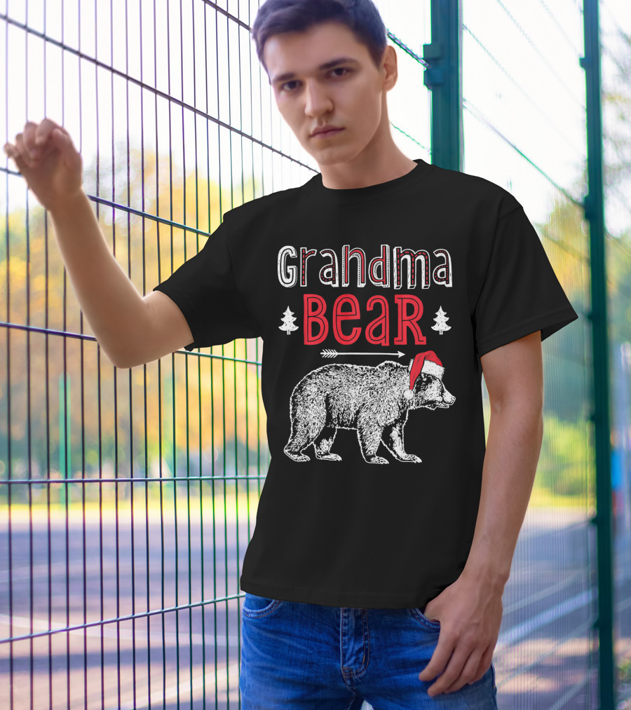 Grandma Bear Christmas Santa Hat Family Holiday Winter T-Shirt