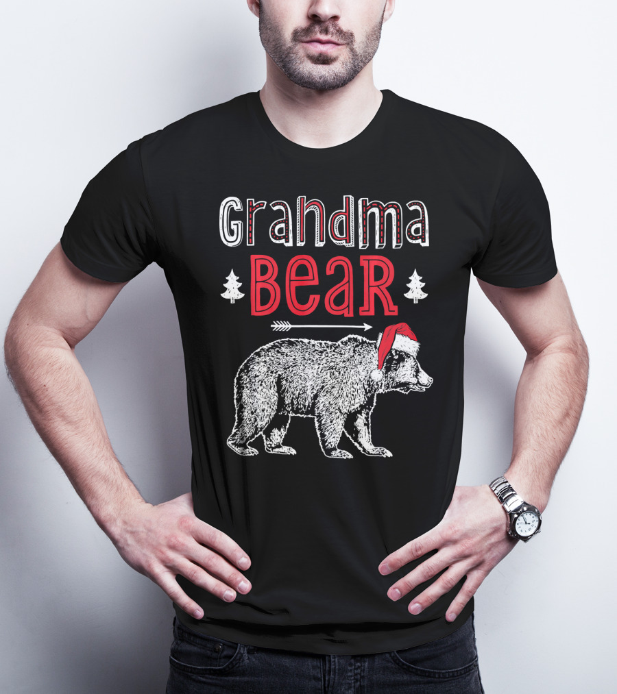 Grandma Bear Christmas Santa Hat Family Holiday Winter T-Shirt