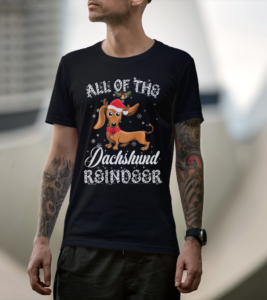 All Of The Dachshund Reindeer Santa Hat Snowflakes T-Shirt