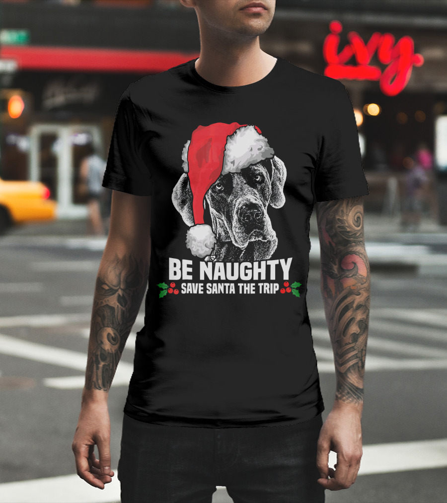 Be Naughty Save Santa The Trip Great Dane Santa Hat T-Shirt
