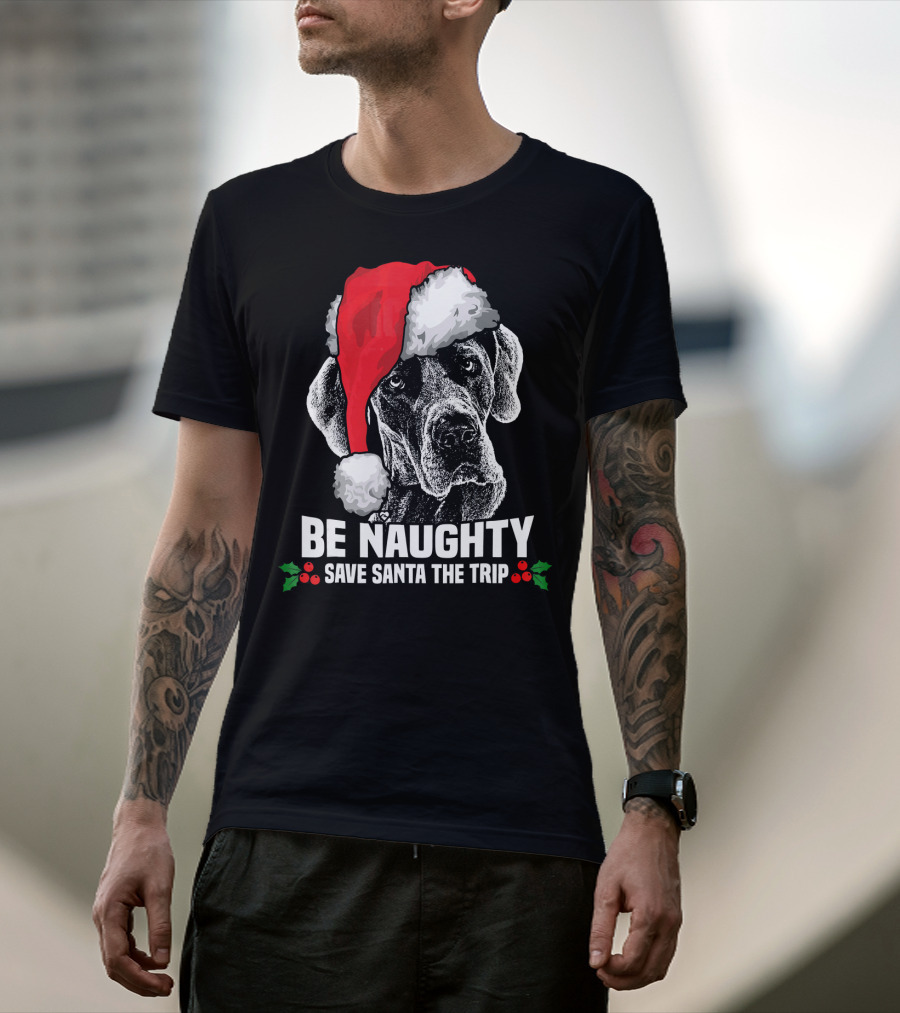 Be Naughty Save Santa The Trip Great Dane Santa Hat T-Shirt