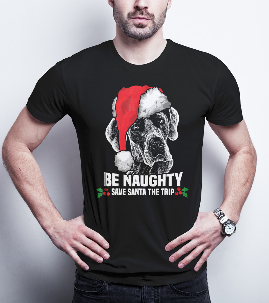 Be Naughty Save Santa The Trip Great Dane Santa Hat T-Shirt