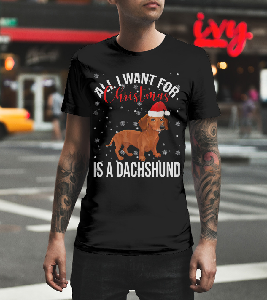 All I Want For Christmas Is A Dachshund Santa Hat Snowflakes T-Shirt