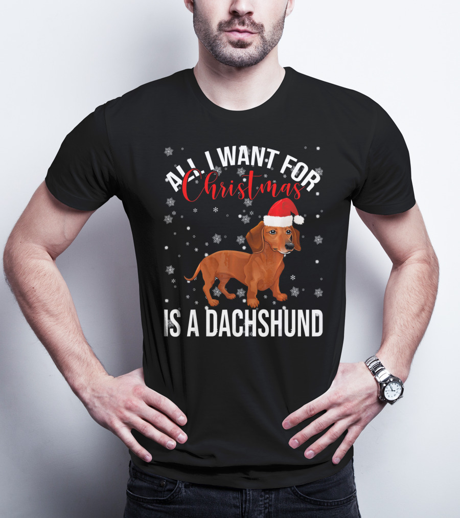All I Want For Christmas Is A Dachshund Santa Hat Snowflakes T-Shirt