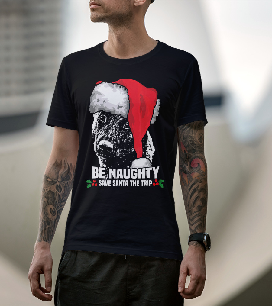 Be Naughty Save Santa The Trip Dutch Shepherd Christmas Santa Hat T-Shirt