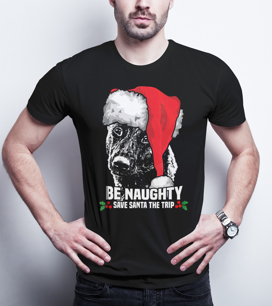 Be Naughty Save Santa The Trip Dutch Shepherd Christmas Santa Hat T-Shirt