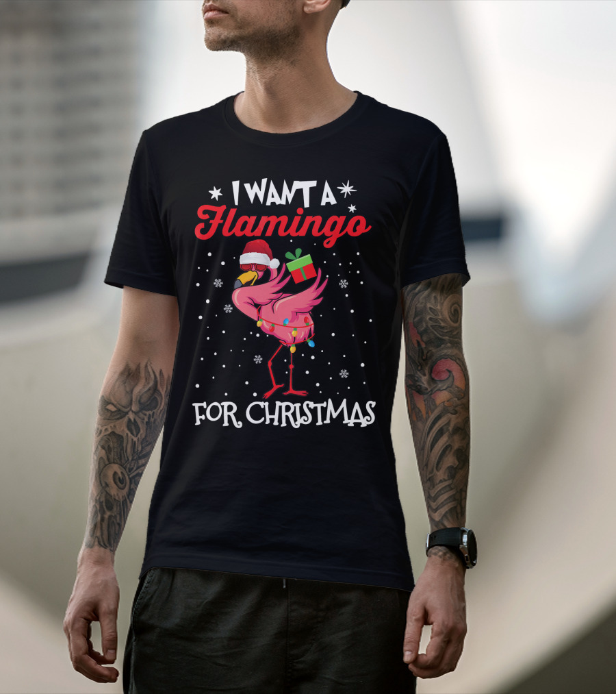 I Want A Flamingo For Christmas Santa Hat Lights Snowflakes Gift Box T-Shirt