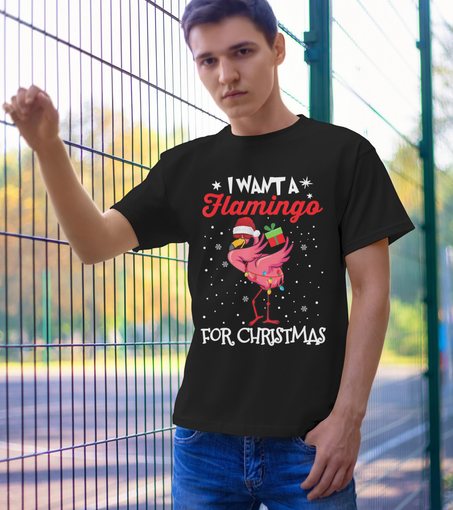 I Want A Flamingo For Christmas Santa Hat Lights Snowflakes Gift Box T-Shirt