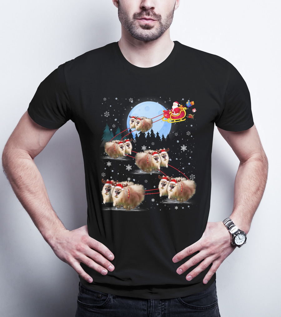 Pomeranian Reindeer Santa Sleigh Christmas Under Moonlight T-Shirt