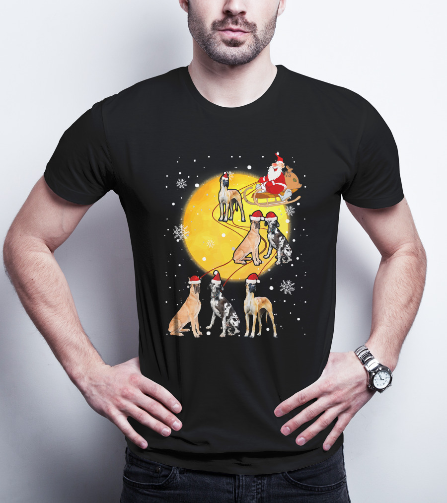 Santa Claus Sleigh Great Dane Reindeer Pack Moon Snowflakes T-Shirt