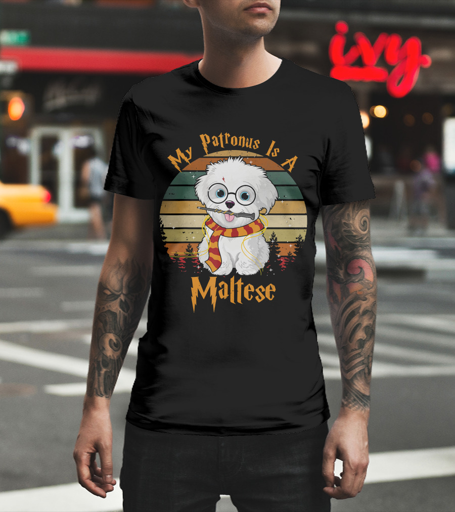 My Patronus Is A Maltese Dog With Wizard Glasses And Scarf In Colorful Circle T-Shirt