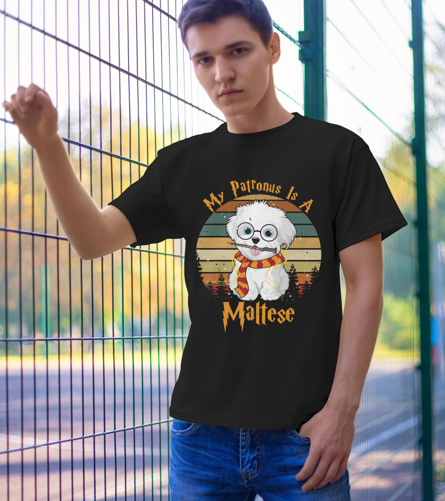 My Patronus Is A Maltese Dog With Wizard Glasses And Scarf In Colorful Circle T-Shirt